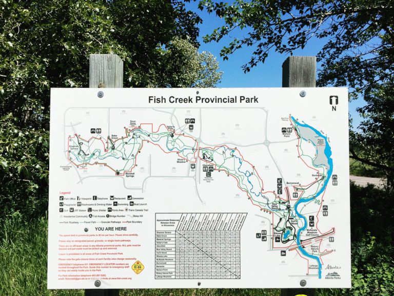 7 Reasons to Visit Fish Creek This Summer! - This Big Adventure