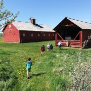 Road Trip: An Adventure Filled Day Trip From Calgary! - This Big Adventure