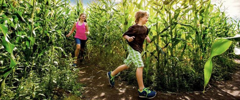 12 Family Friendly Fall Festivals in Alberta - This Big Adventure