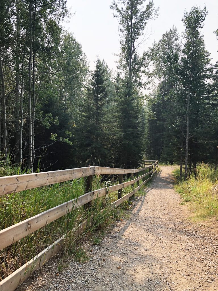 Hike: Snake Hill Recreation Area, Sundre Alberta - This Big Adventure