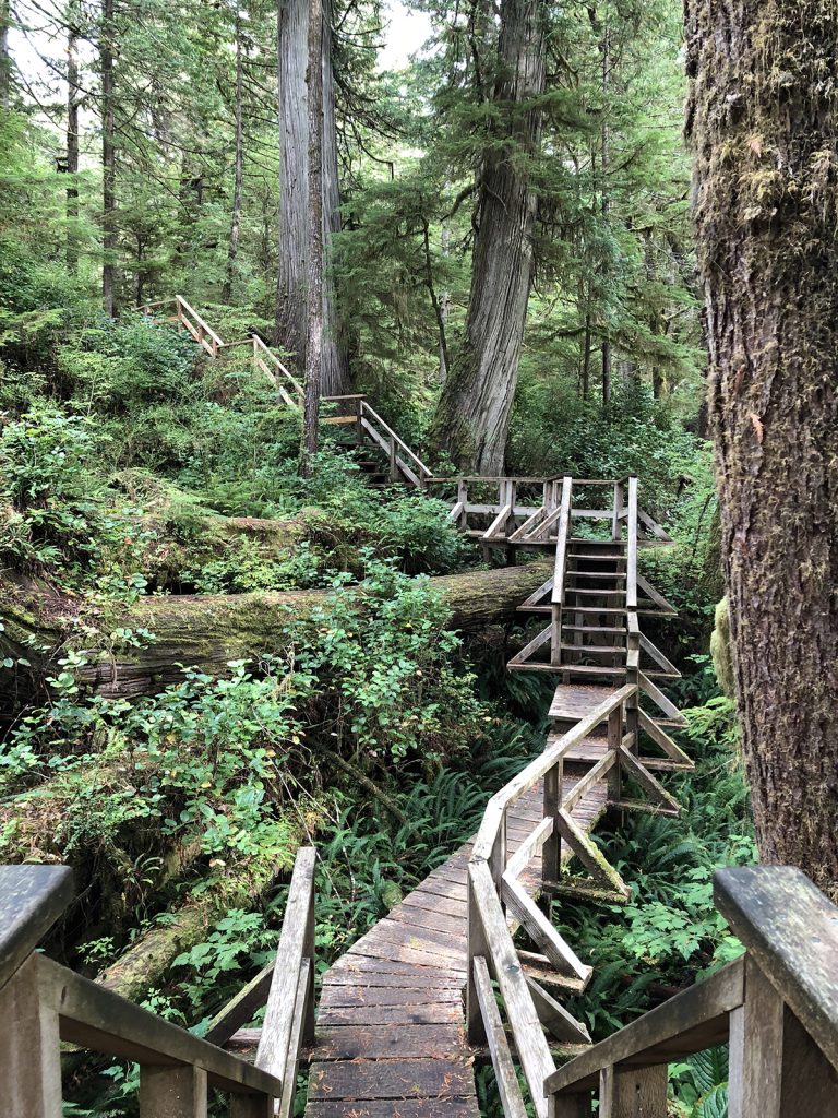 Hike: The Hoodoo Trail At Fairmont Hot Springs, BC - This Big Adventure